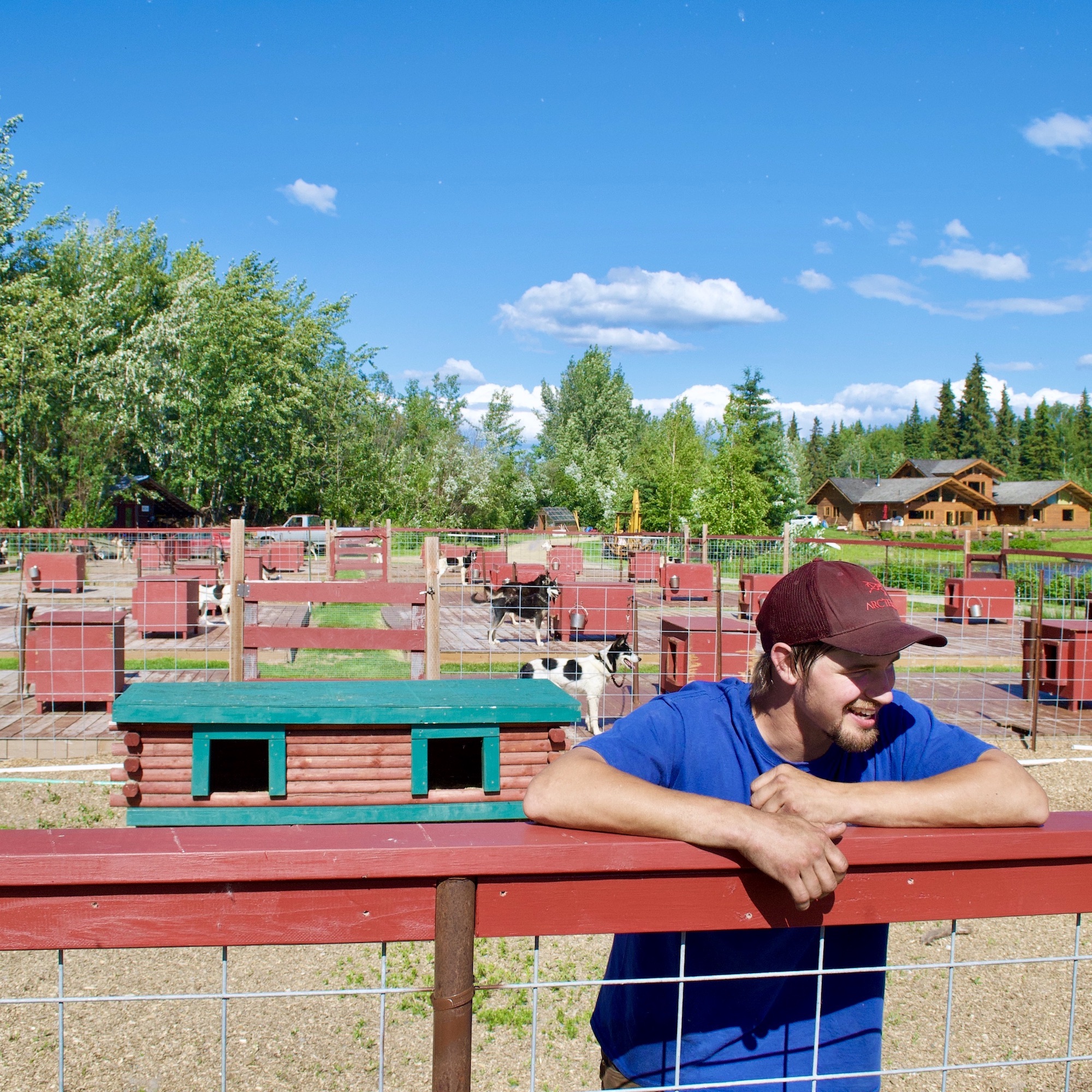 What is it like to be an Alaskan Musher? | Fairbanks, Alaska | Trail ...