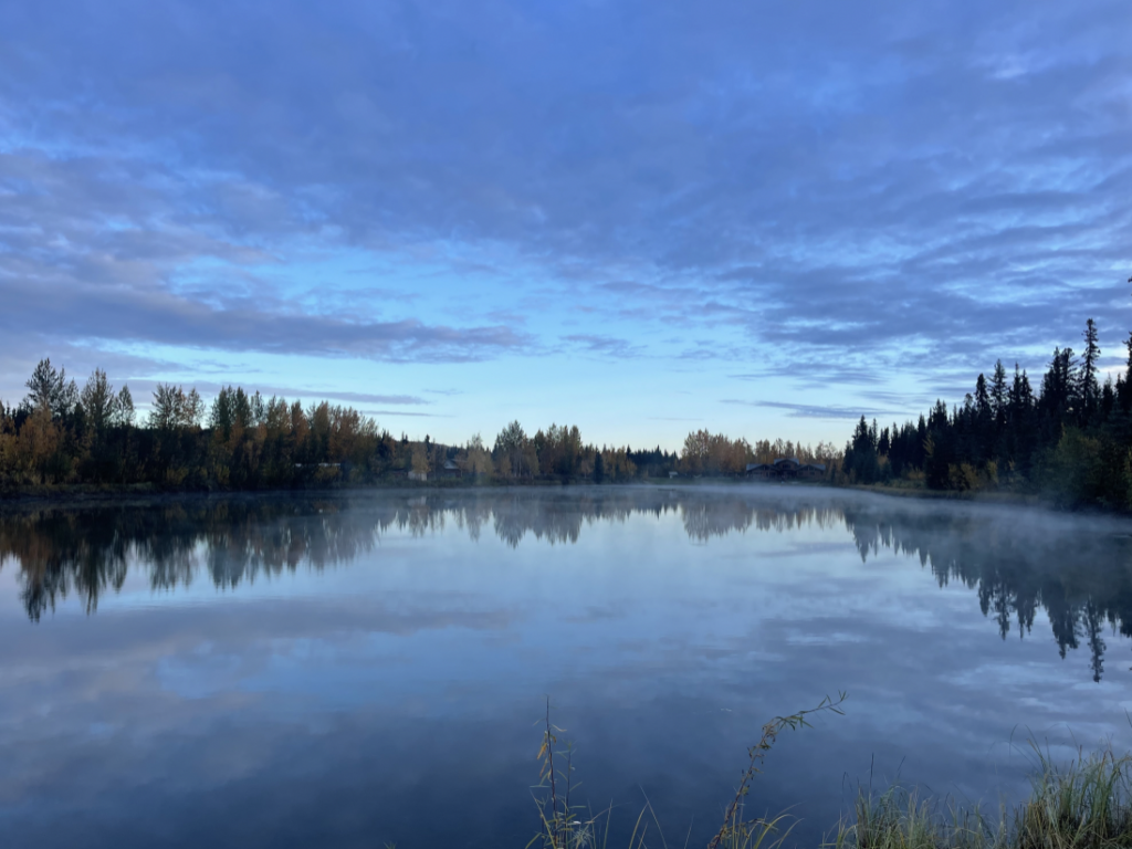 Enjoy The Fall in Fairbanks, Alaska - Trail Breaker Kennel