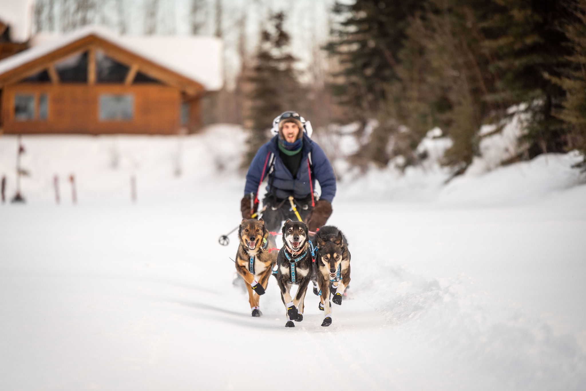The T-Dog - Fairbanks' Newest Multisport Race! - Trail Breaker Kennel
