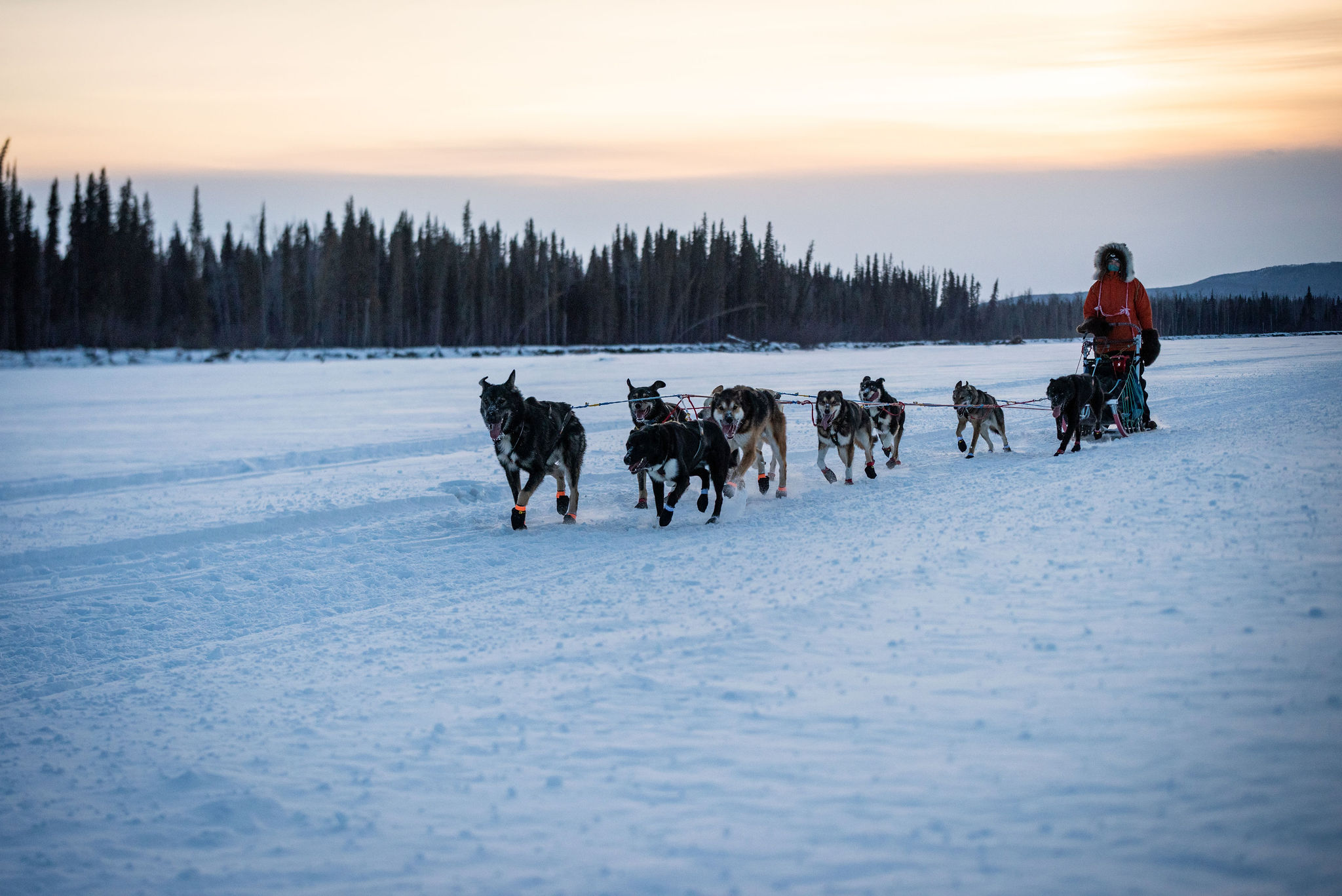 The T-Dog - Fairbanks' Newest Multisport Race! - Trail Breaker Kennel