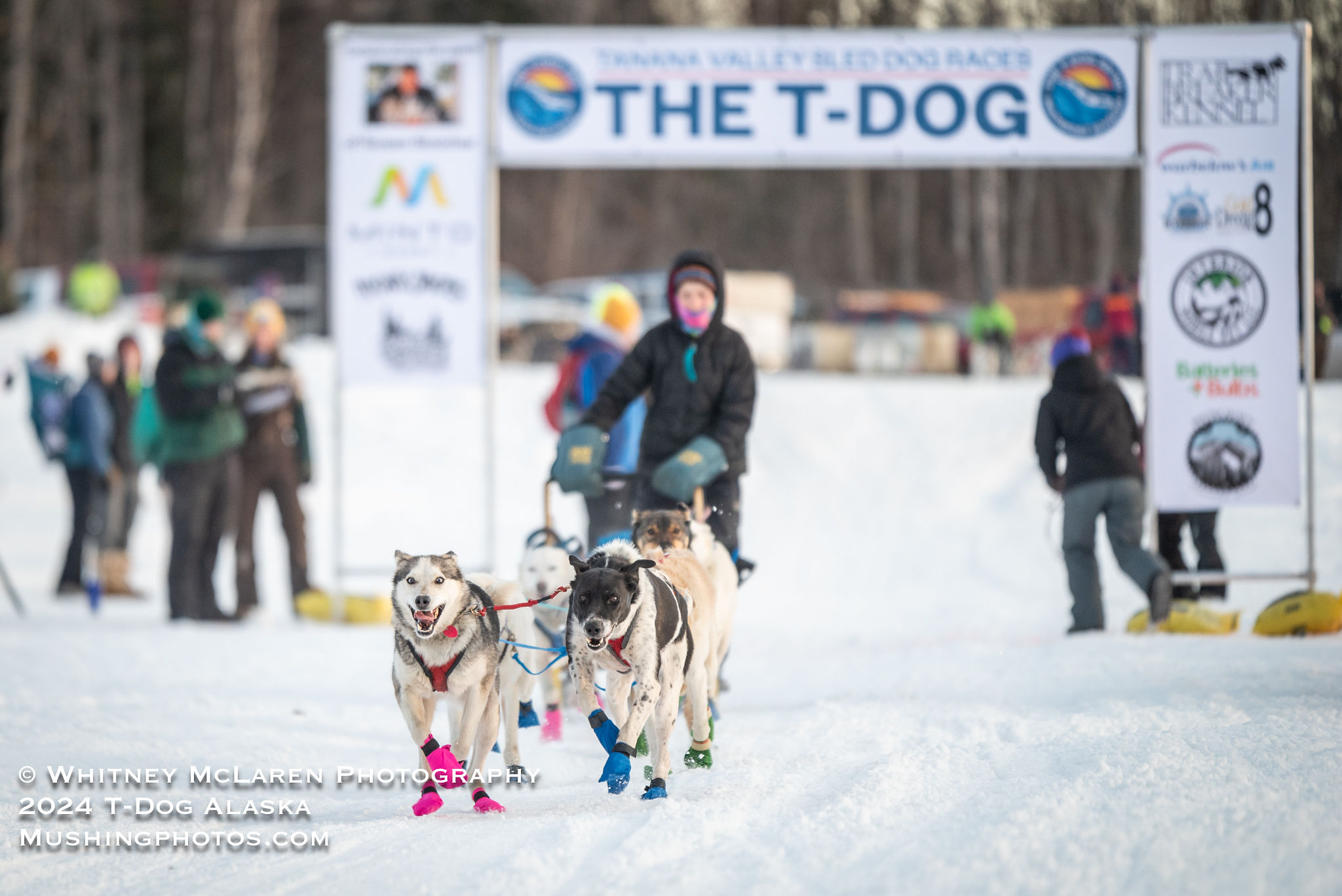 The T-Dog - Fairbanks' Newest Multisport Race! - Trail Breaker Kennel