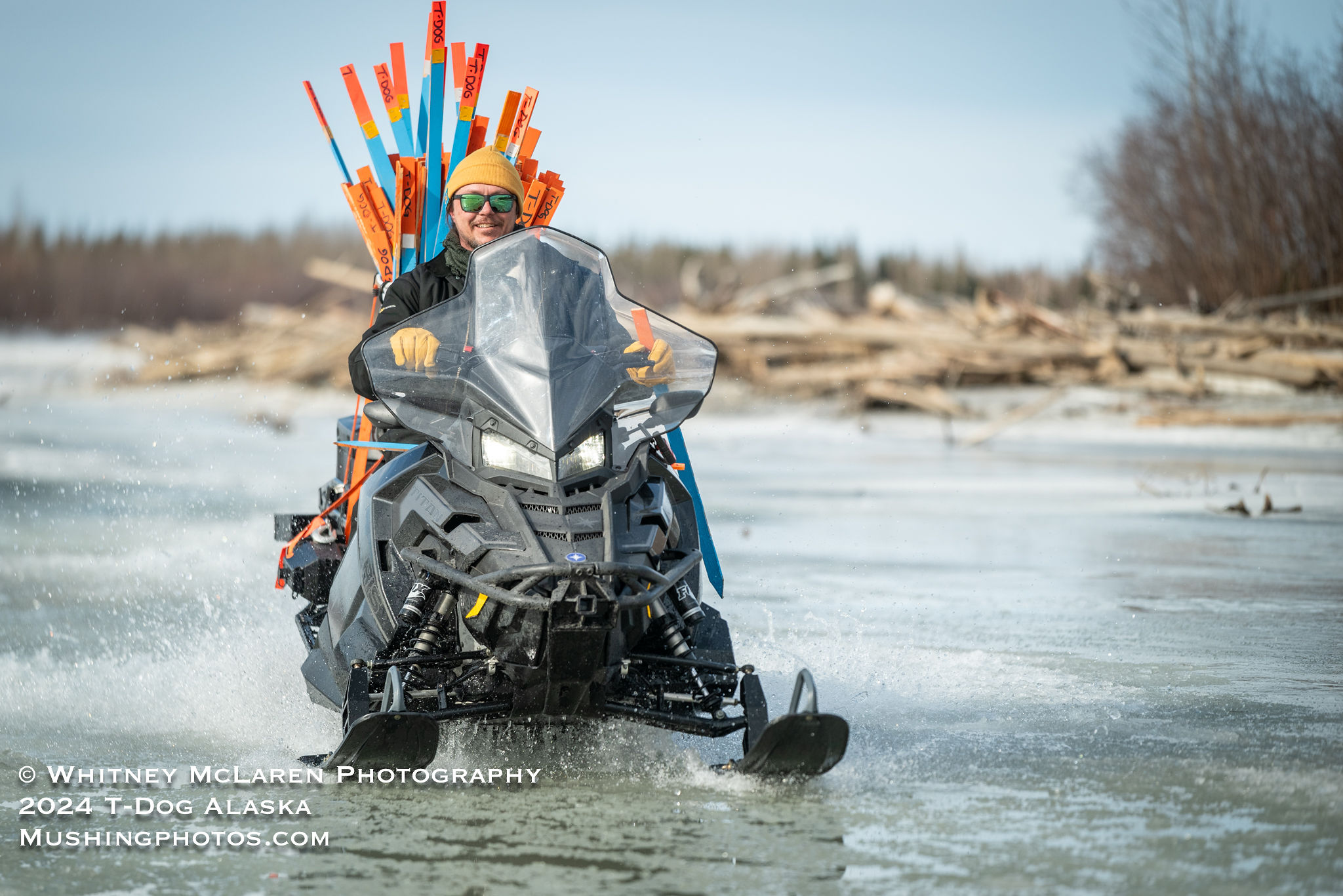 The T-Dog - Fairbanks' Newest Multisport Race! - Trail Breaker Kennel
