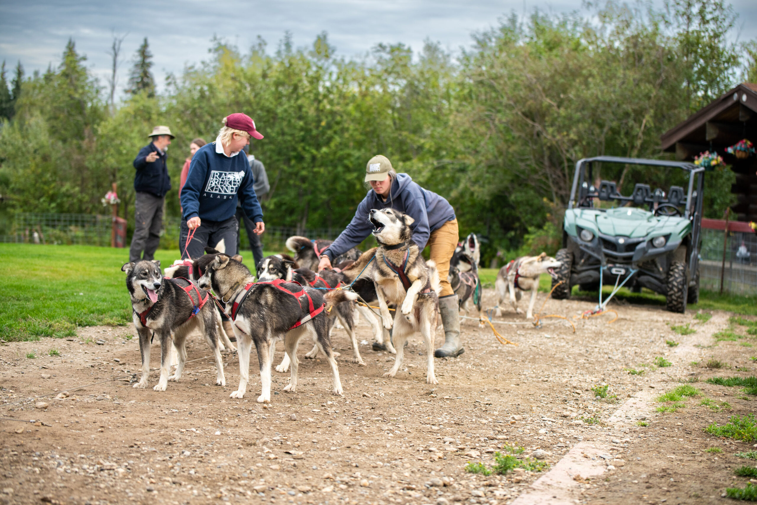 Sled Dog Cart Ride | Fairbanks, Alaska | Trail Breaker Kennel